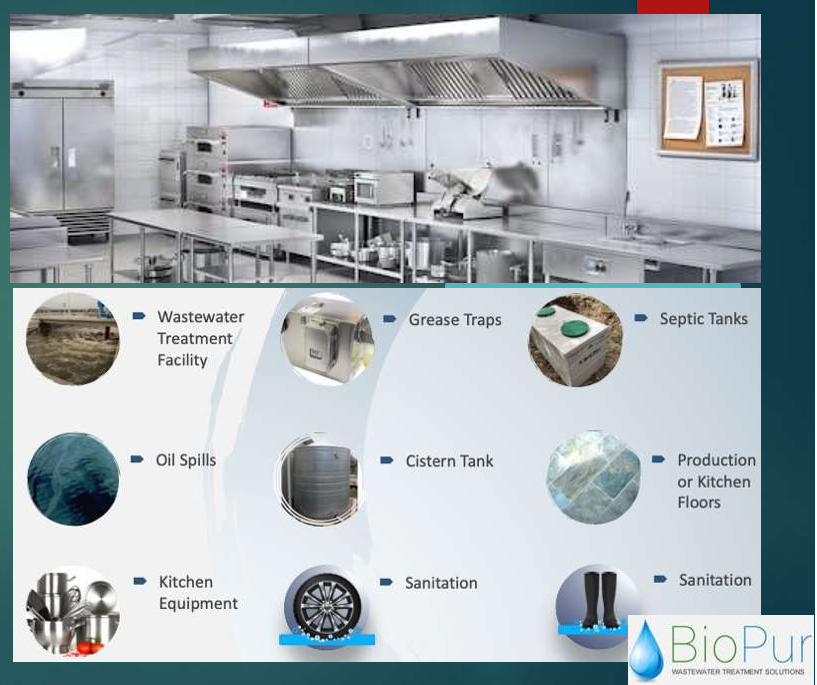 Products & Services – FITC